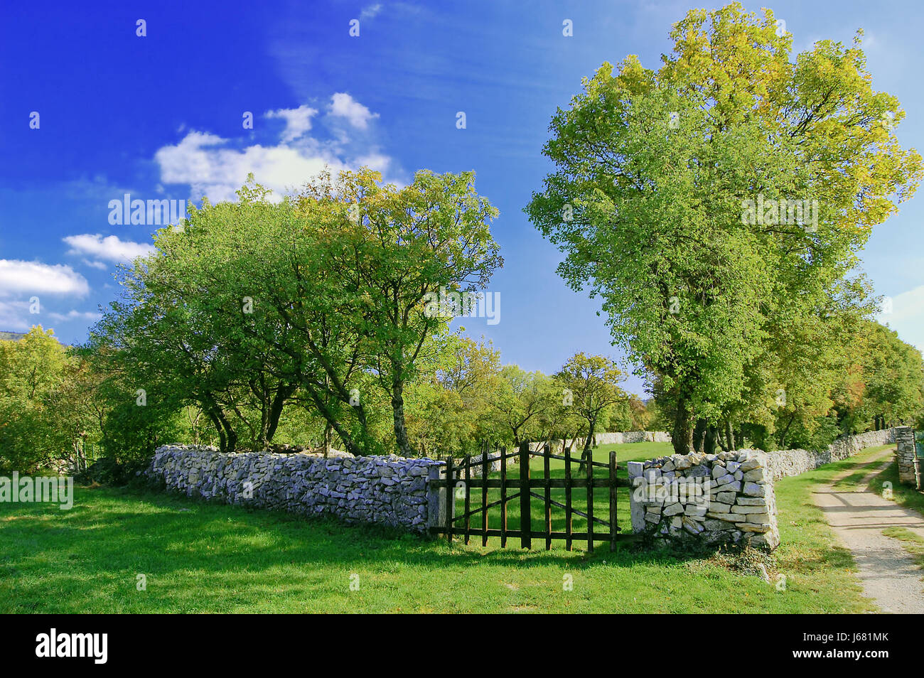 tree trees stone goal passage gate archgway gantry wall country meadow ...