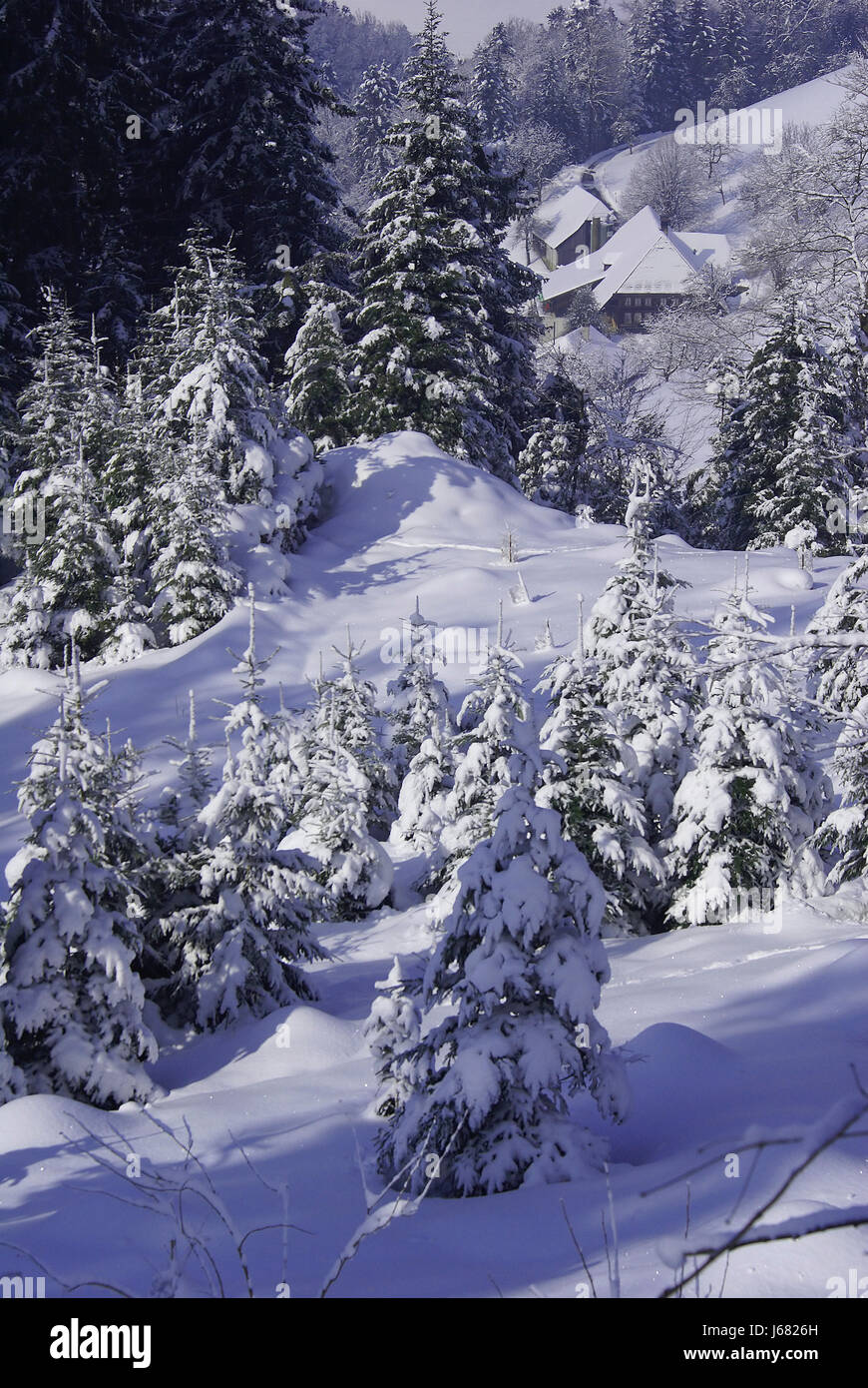 Wintermaerchen hi-res stock photography and images - Alamy