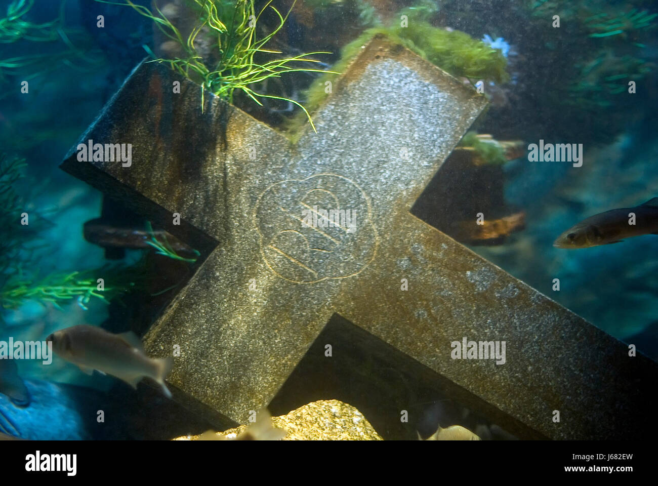 Cross underwater hi-res stock photography and images - Alamy