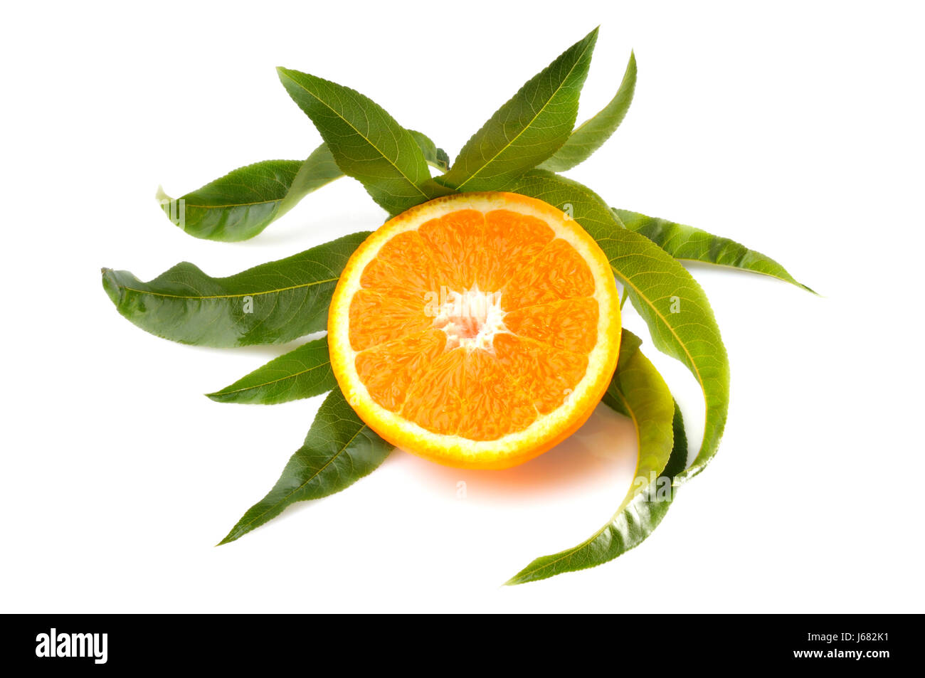 bleed orange with leaves Stock Photo - Alamy