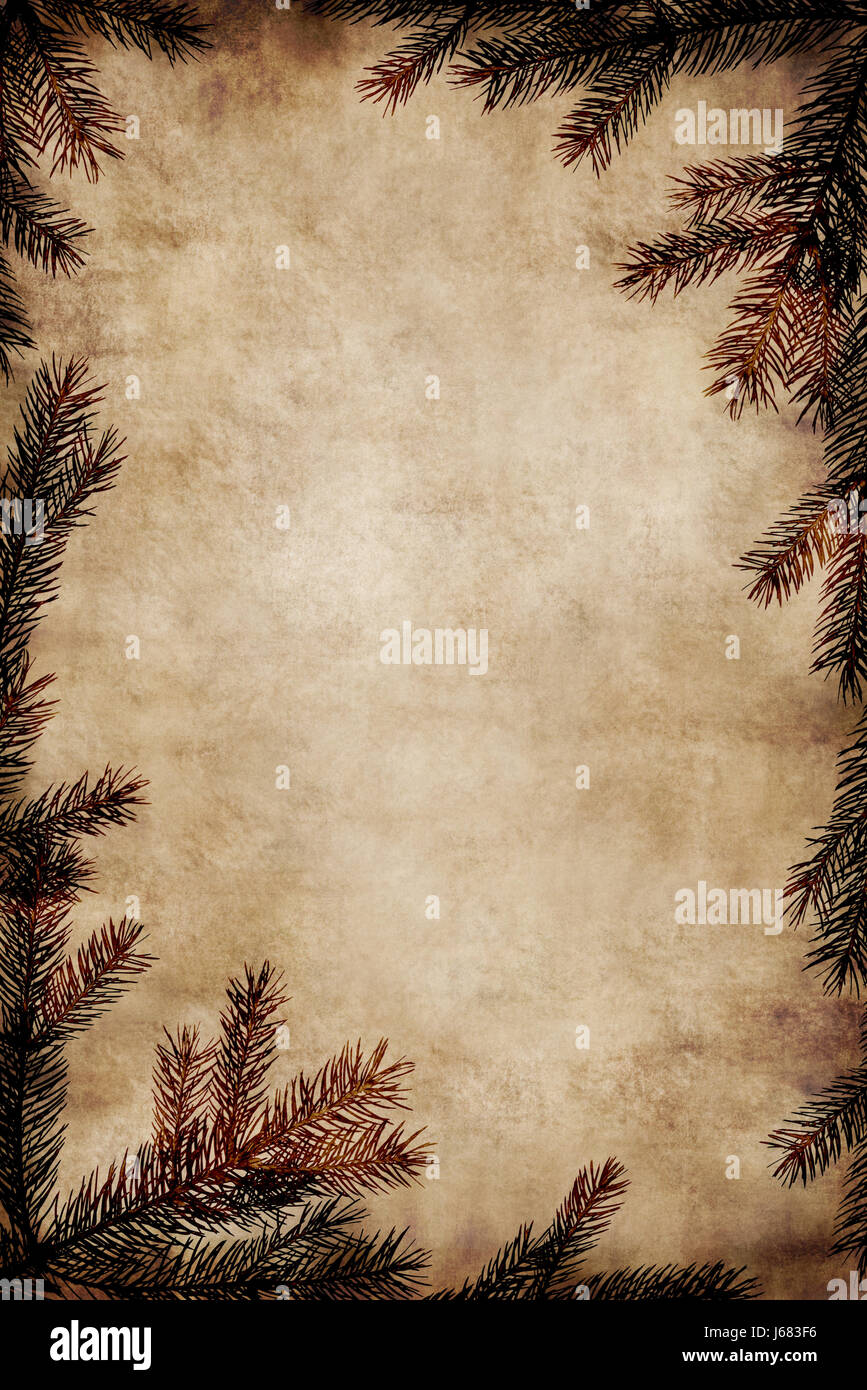 conifer christmas rustical rustic frame border sheet of paper paper ...