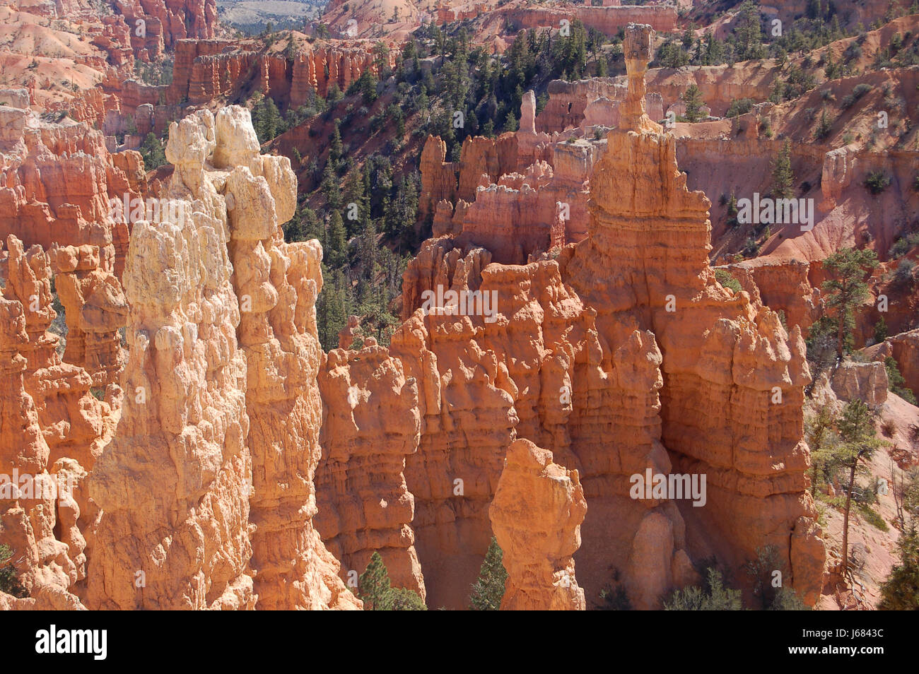 national park usa rock america Canyon scenery countryside nature ...