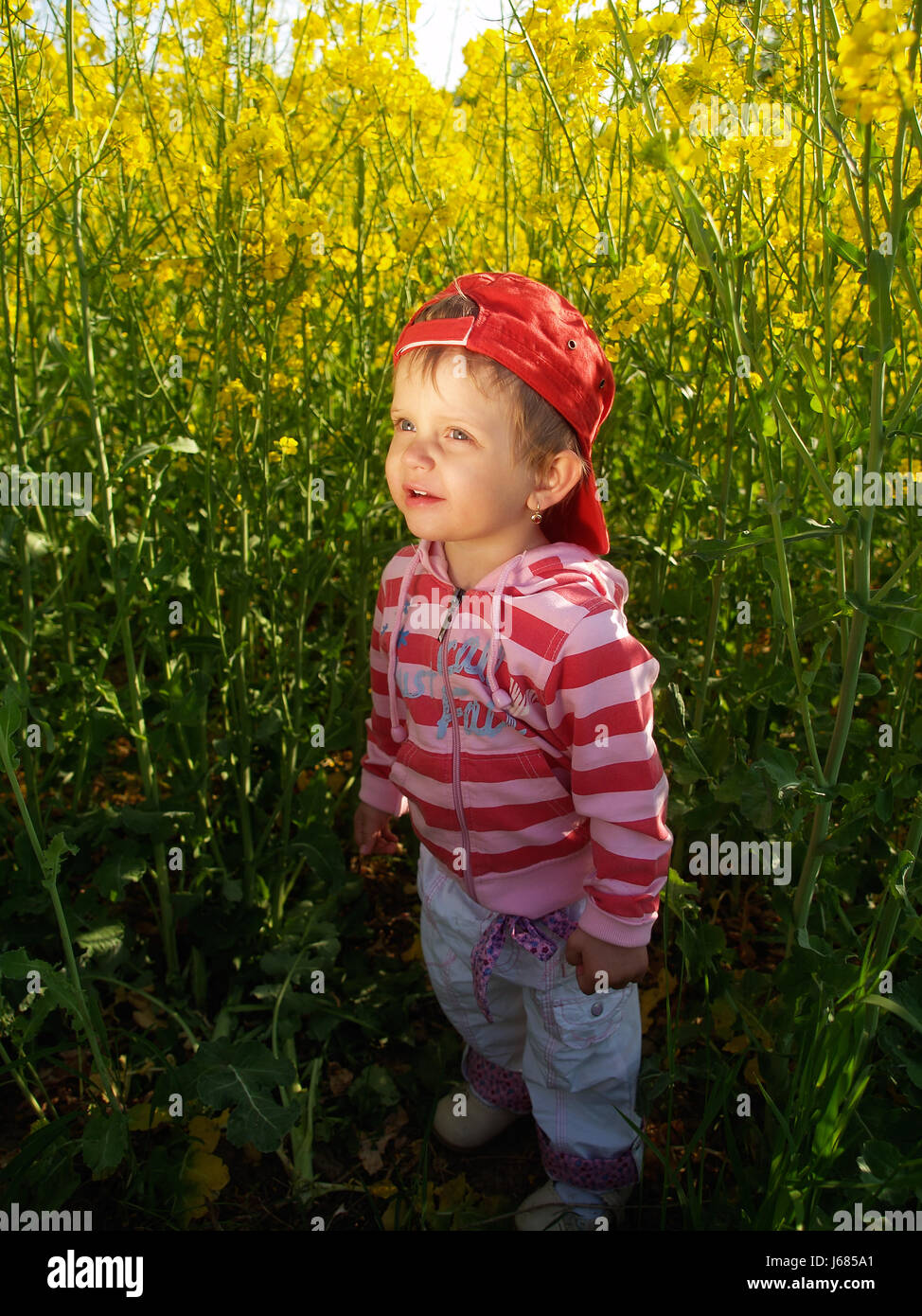 friendly kind baby rape girl girls toddler field friendly kind baby kid ...