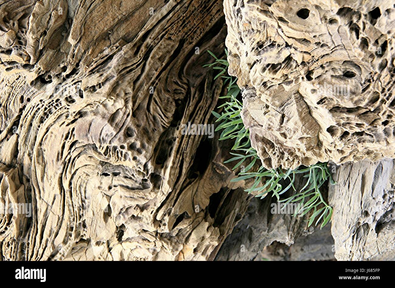 Warping hi-res stock photography and images - Alamy