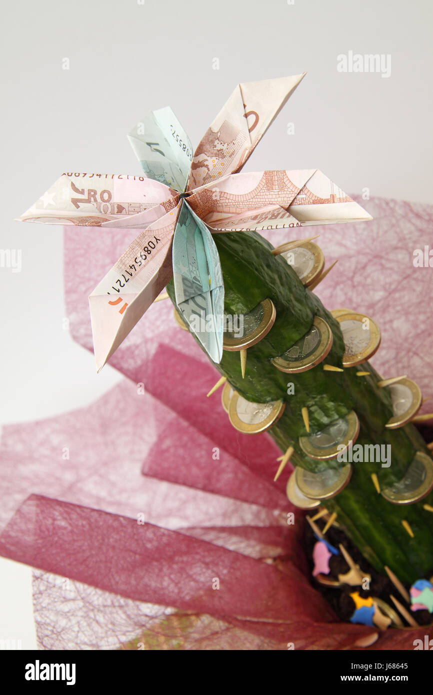 euro coins gift bank notes cactus donation birthday currency cucumber ...