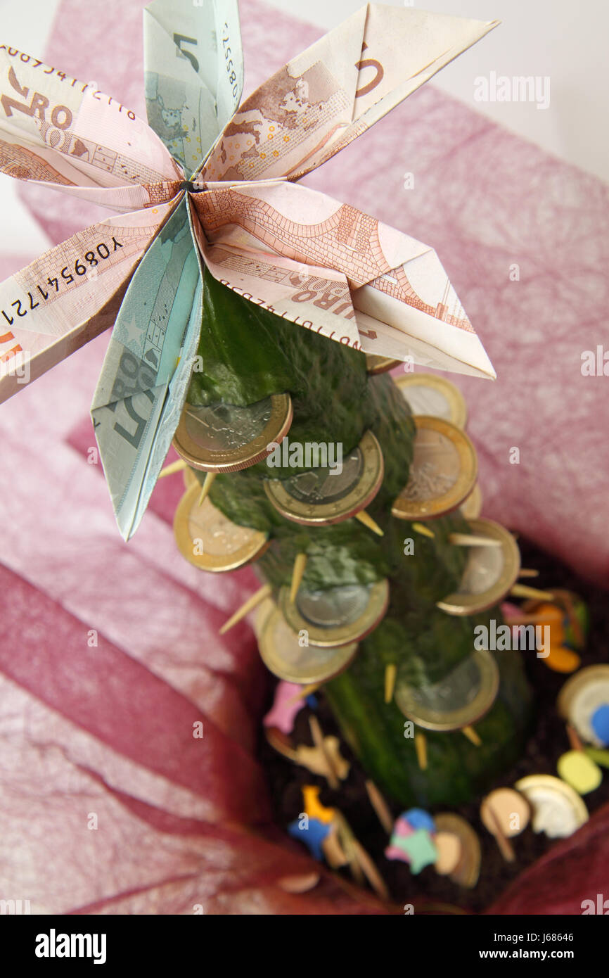 euro coins gift bank notes cactus donation birthday currency cucumber ...