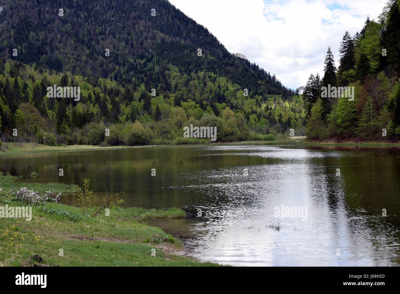Deutsche alpenstrasse germany hi-res stock photography and images - Alamy