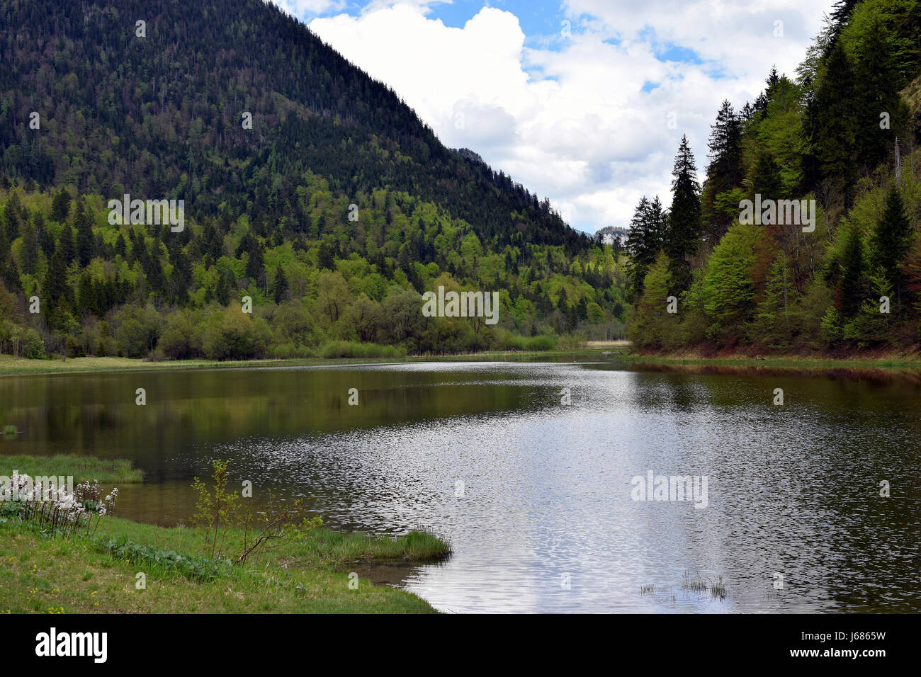 Deutsche alpenstrasse bavaria hi-res stock photography and images - Alamy