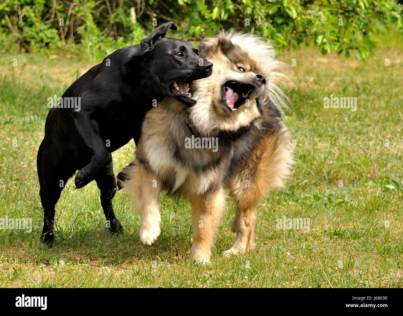 youngsters at toben Stock Photo - Alamy