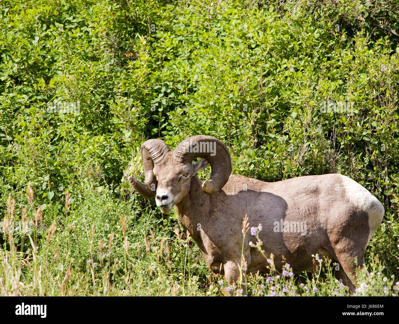 big large enormous extreme powerful imposing immense relevant space ...