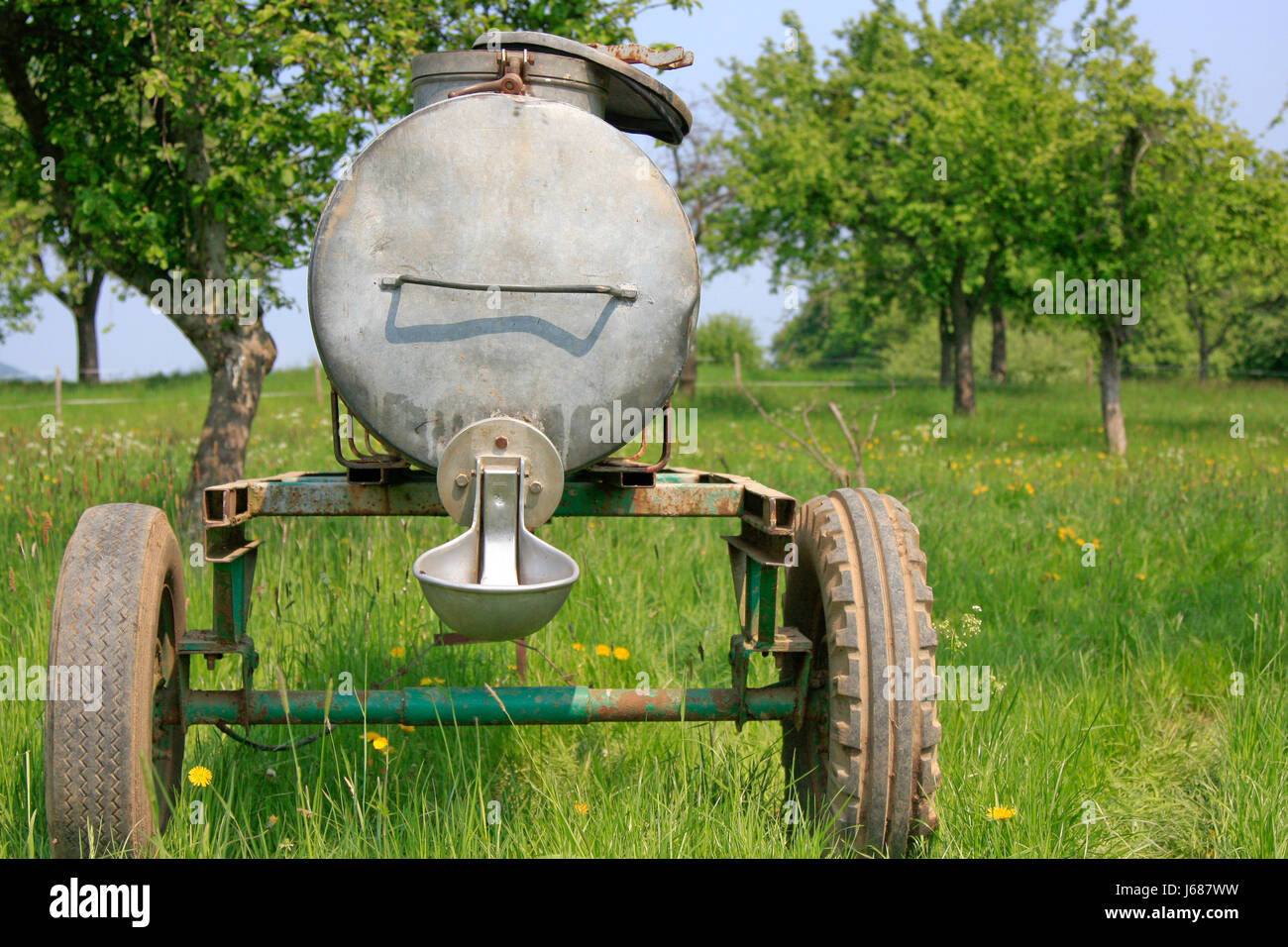 tree mobile meadow ripen barrel tree engineering flora car automobile ...