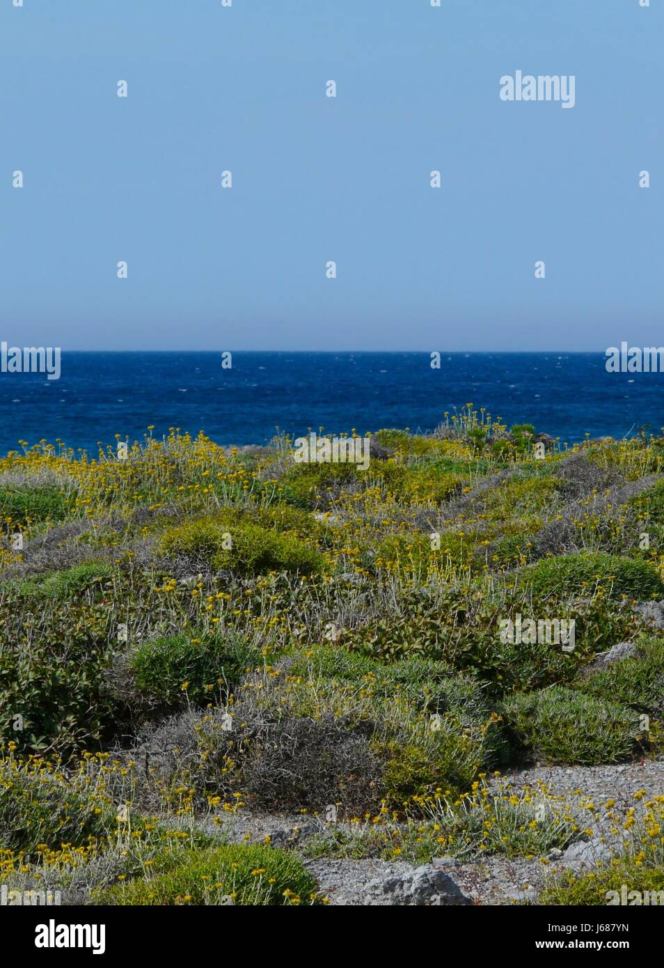 horizon beach seaside the beach seashore bushes azur blue firmament sky ...