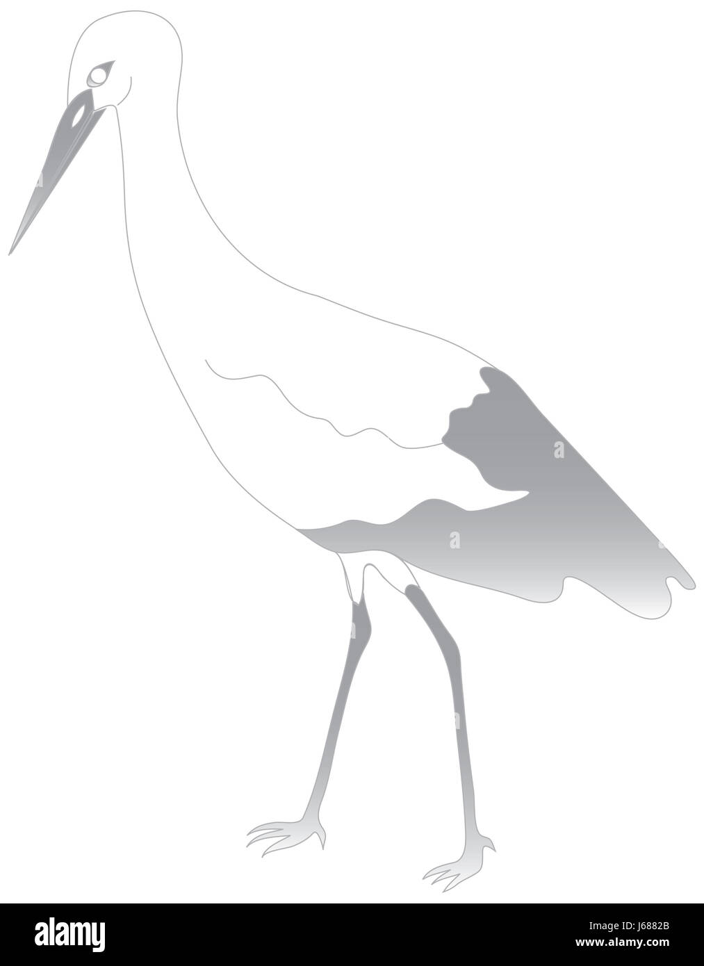 Stork bird clipart hi-res stock photography and images - Alamy