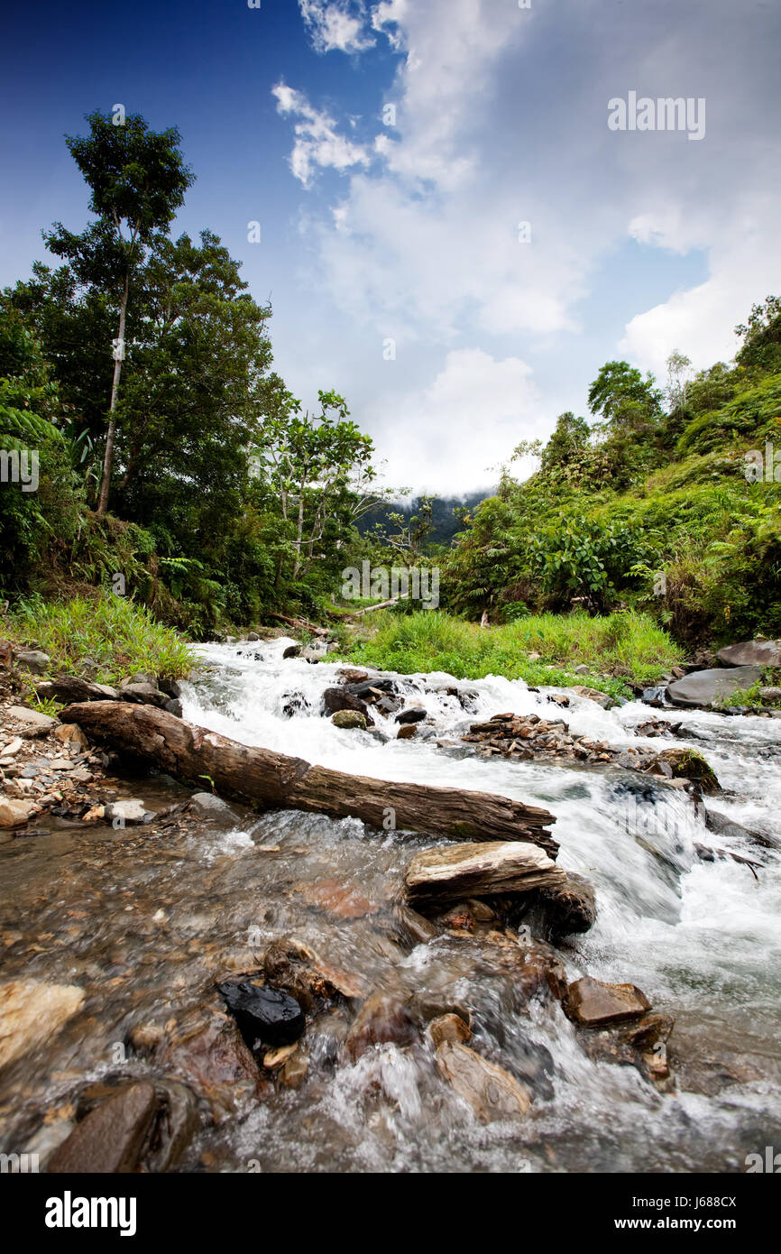flow indonesia summer summerly stream jungle outdoor refreshing current Stock Photo - Alamy