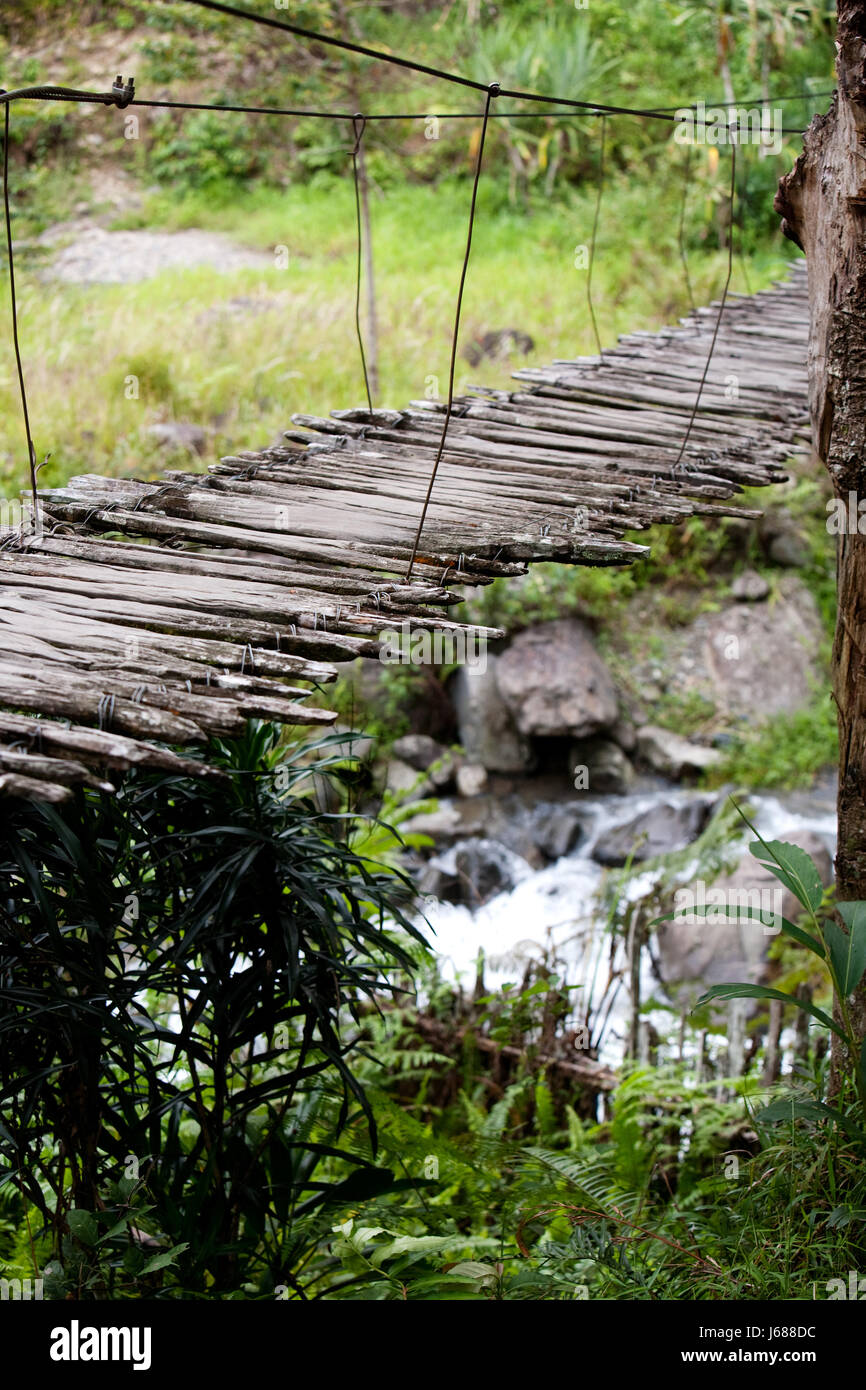 danger risk wood bridge stream jungle fear outdoor cable wire tropical ...