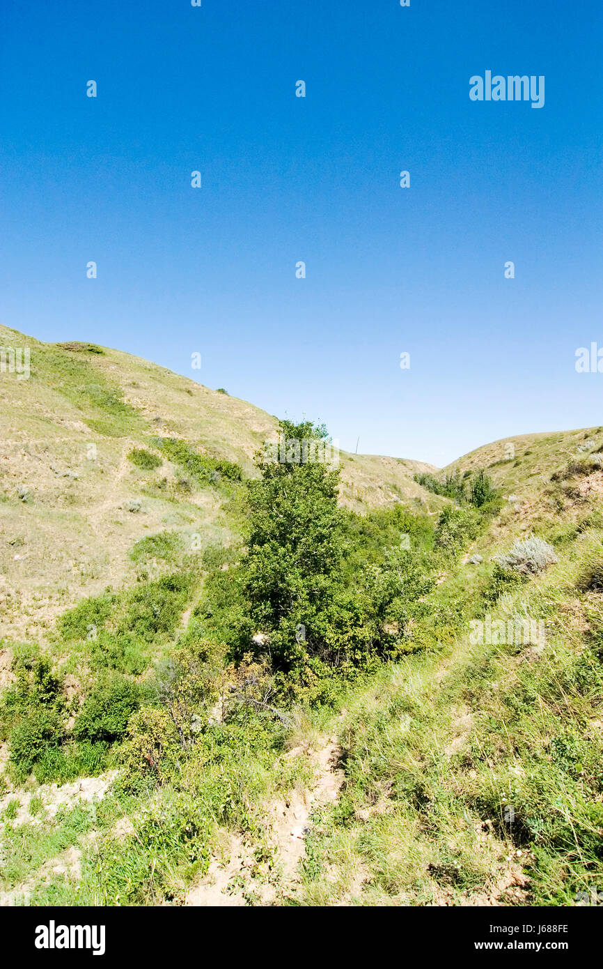 blue tree hill desert wasteland canada outdoor ravine dry dried up ...