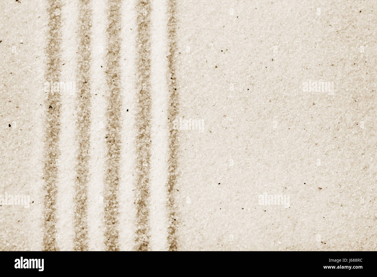 detail art garden beach seaside the beach seashore lines row peaceful ...