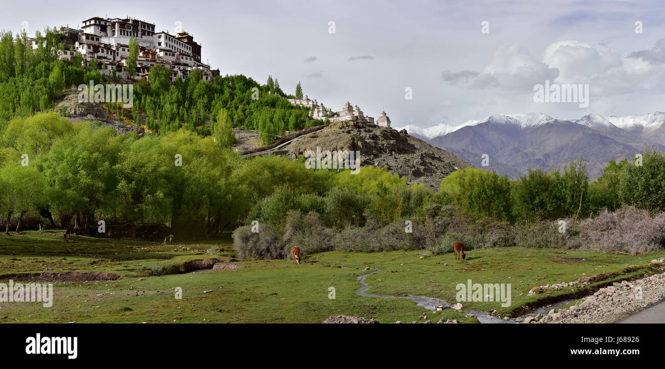 Buddhist monastery Masho: on the top of the hill among the green trees ...
