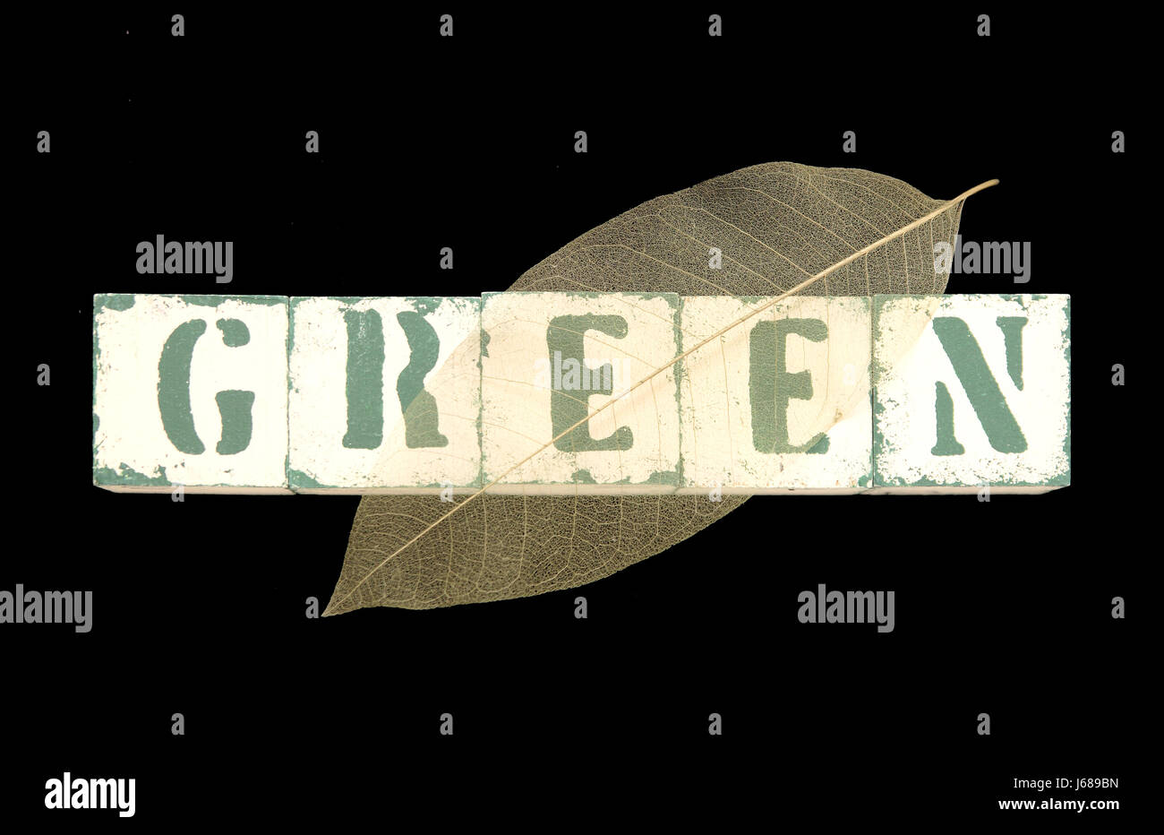 leaf environment enviroment letters word blocks nature green isolated ...
