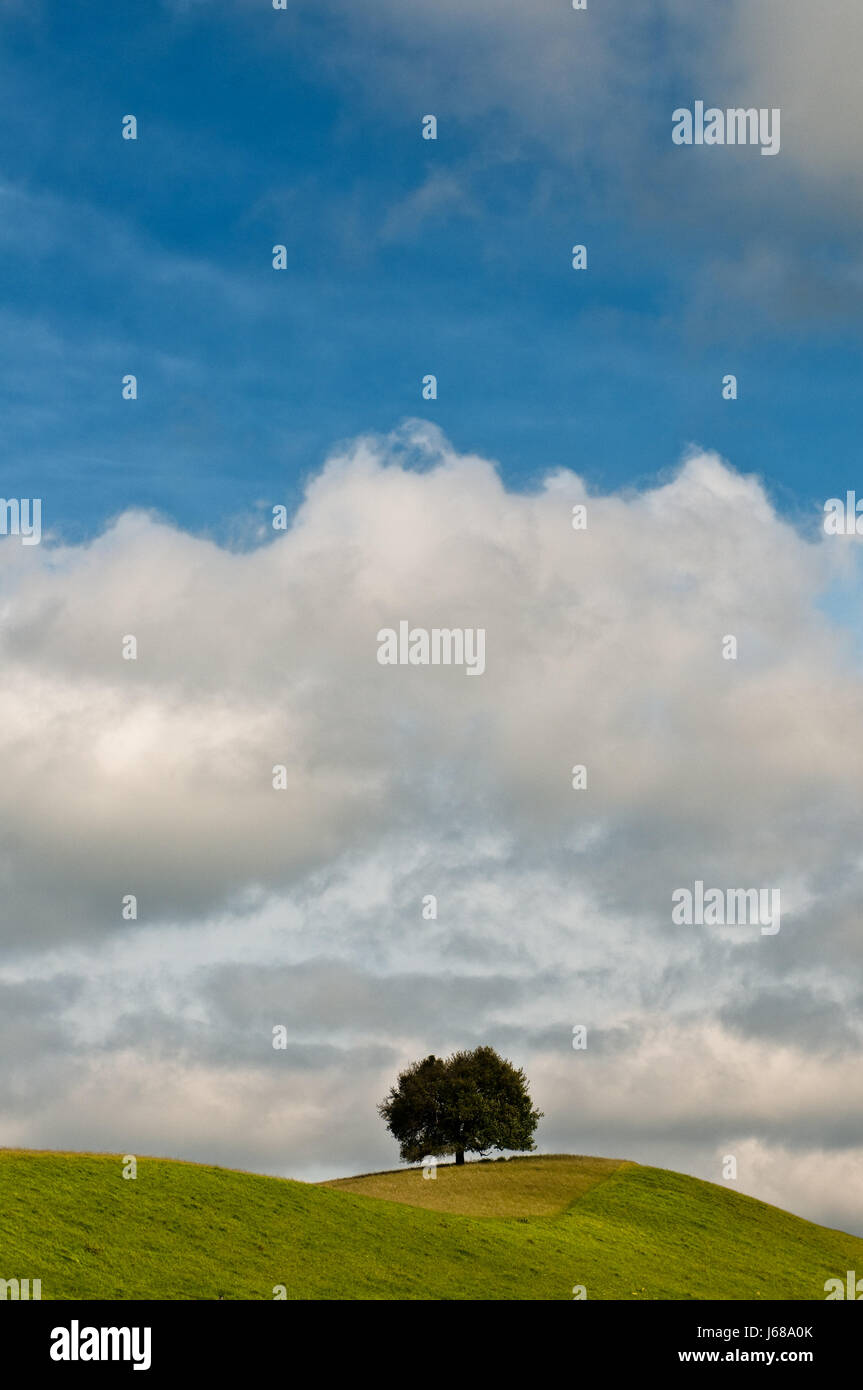 Kuppe hi-res stock photography and images - Alamy