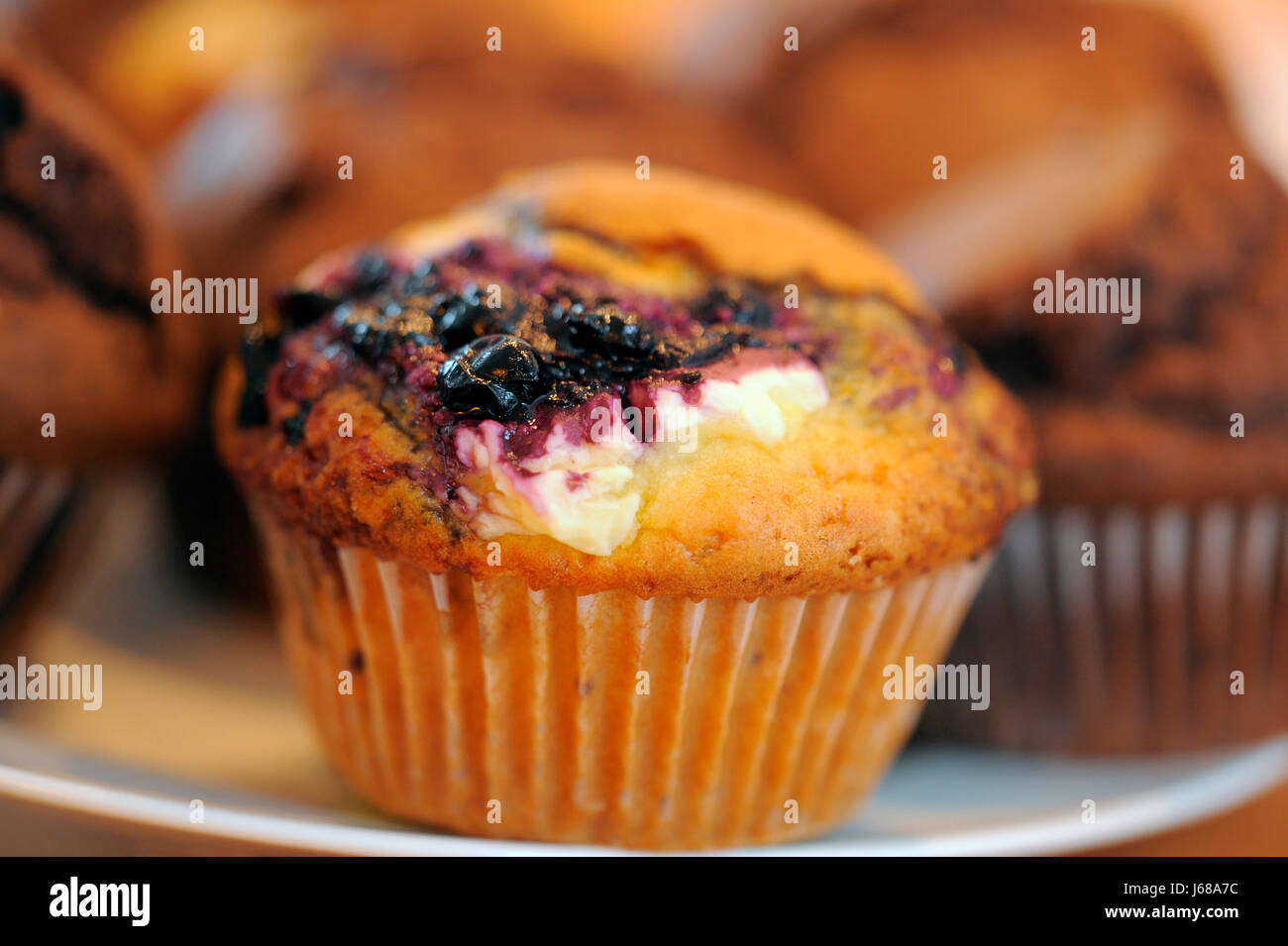 blueberry muffin in paper form Stock Photo - Alamy