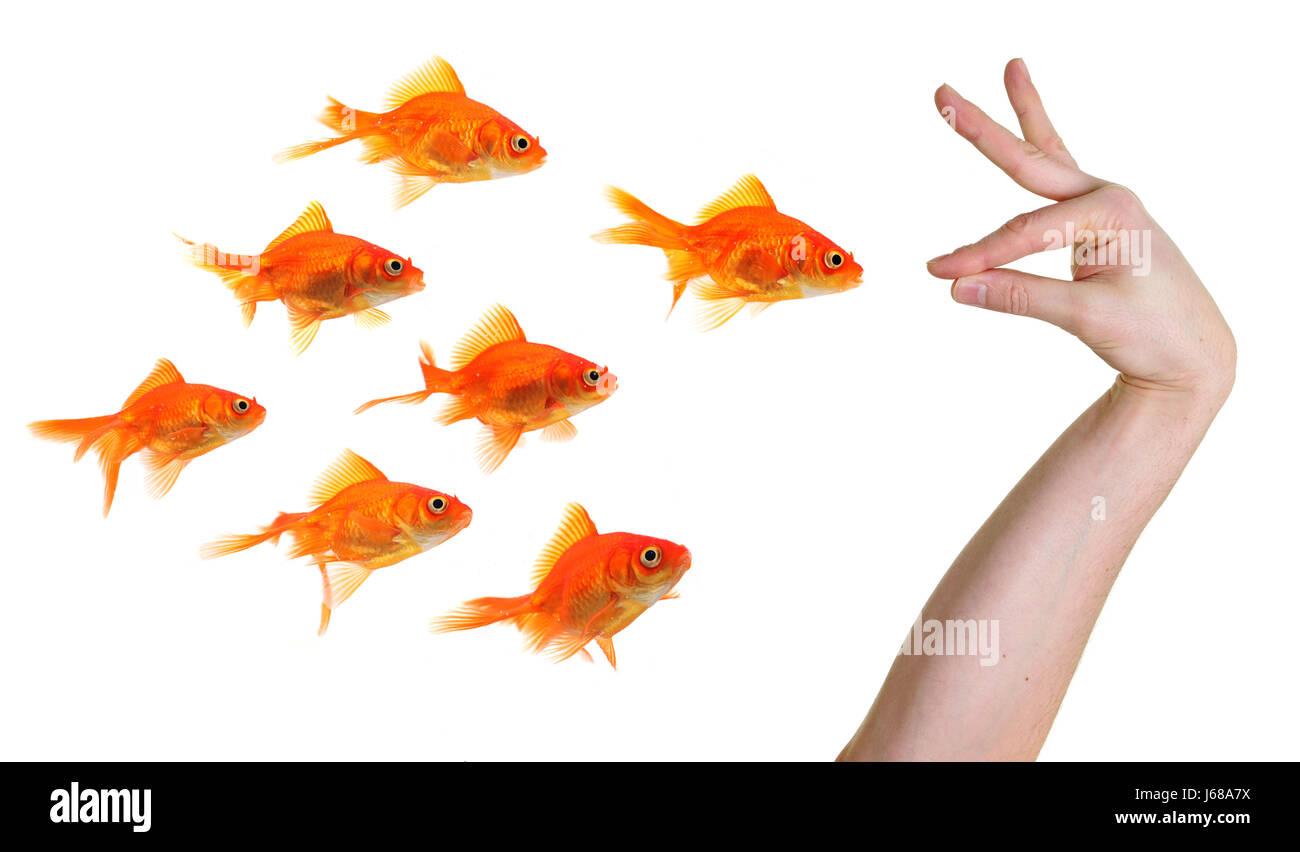 fish pose concentration meditation calm training yoga position lead ...