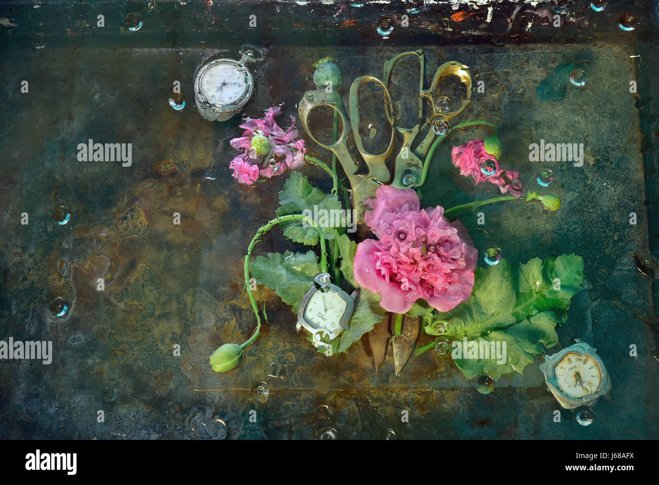 Art still life with two pairs of scissors lying next to surrounded by ...