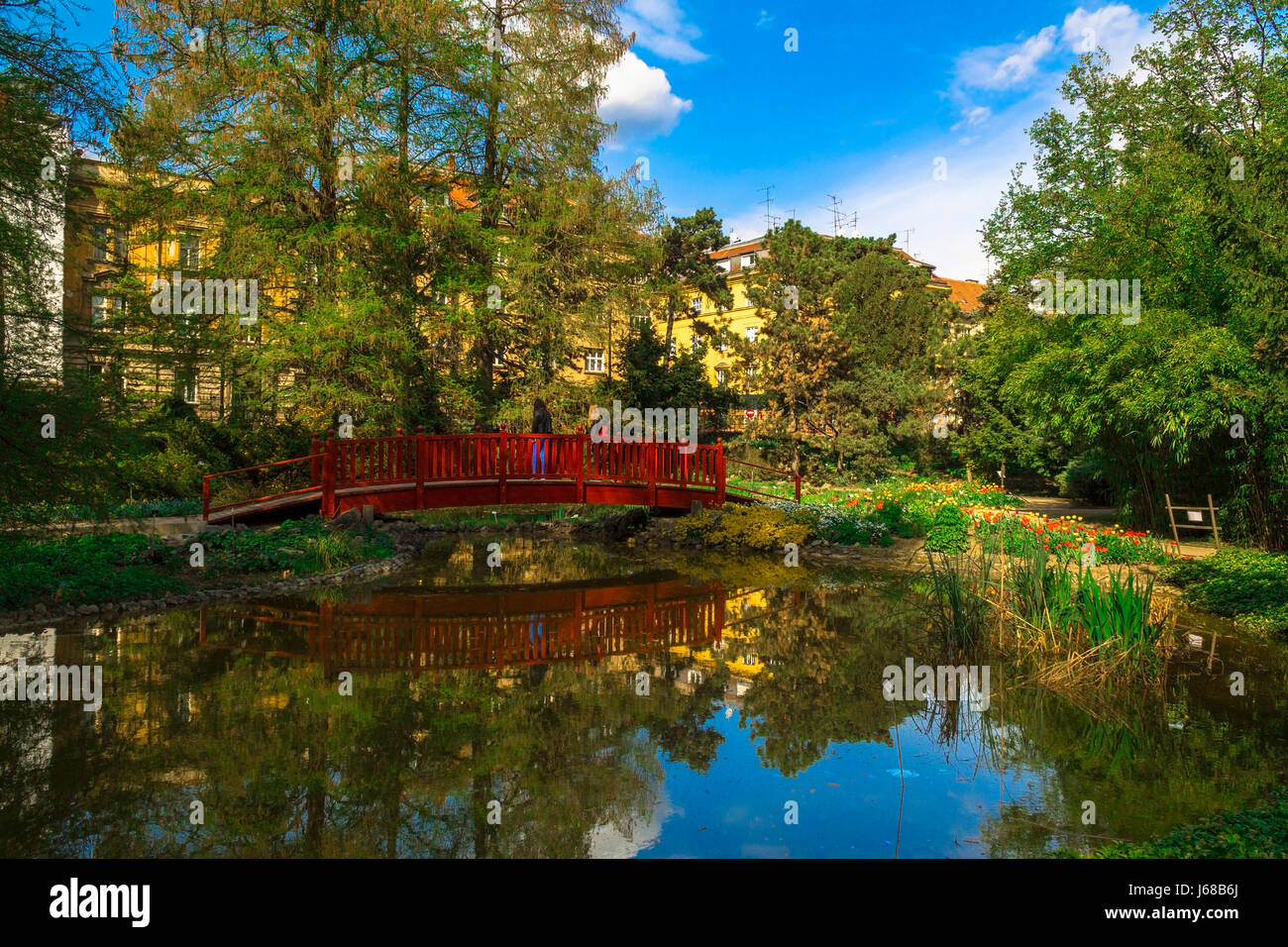 Oasis in botanical garden in Zagreb,Croatia Stock Photo - Alamy