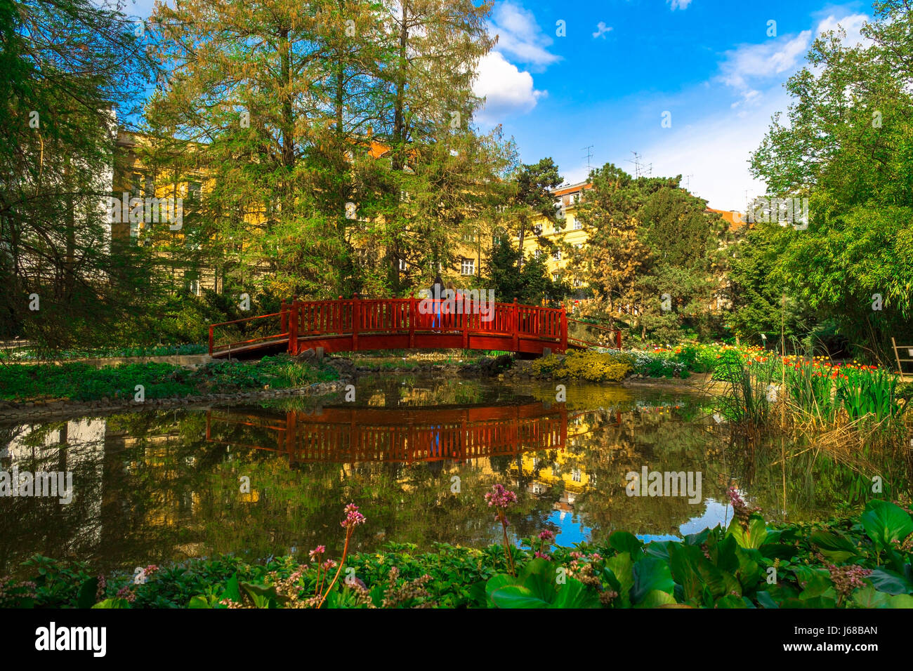 Oasis in botanical garden in Zagreb,Croatia Stock Photo - Alamy