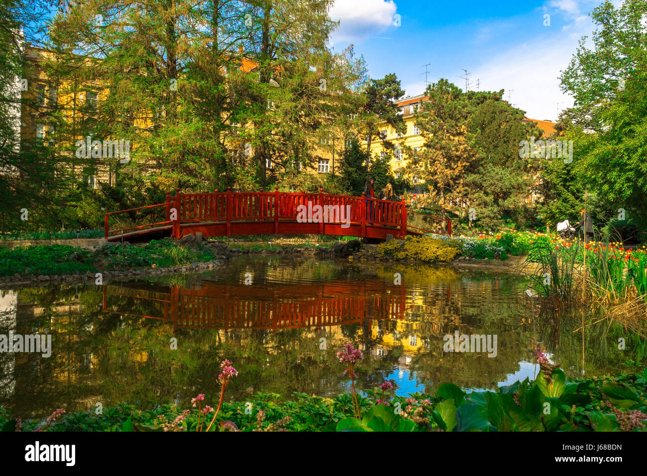 Oasis in botanical garden in Zagreb,Croatia Stock Photo - Alamy
