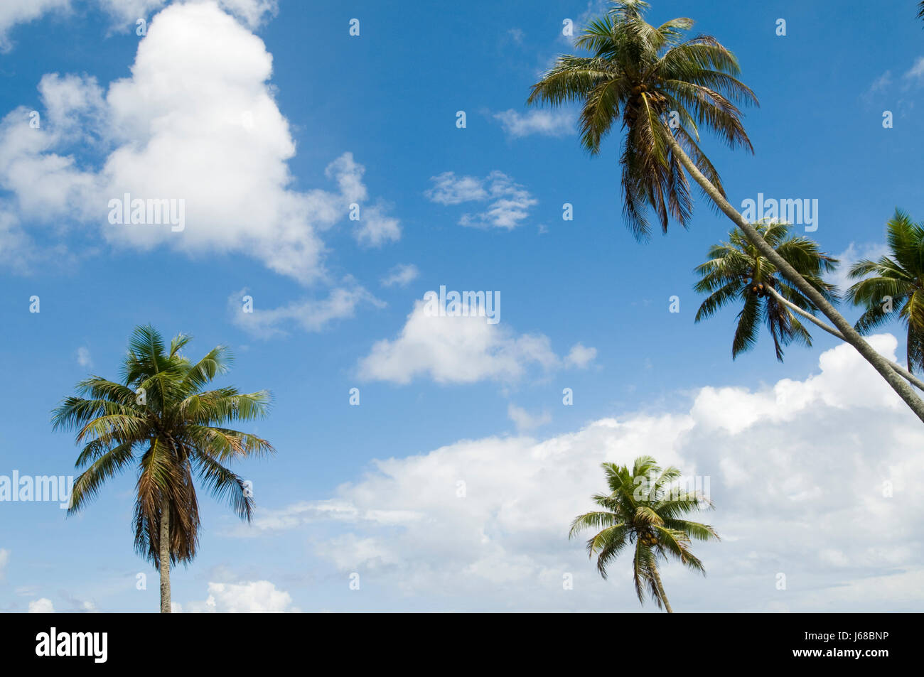 pacific salt water sea ocean water tropical group samoa scenery ...