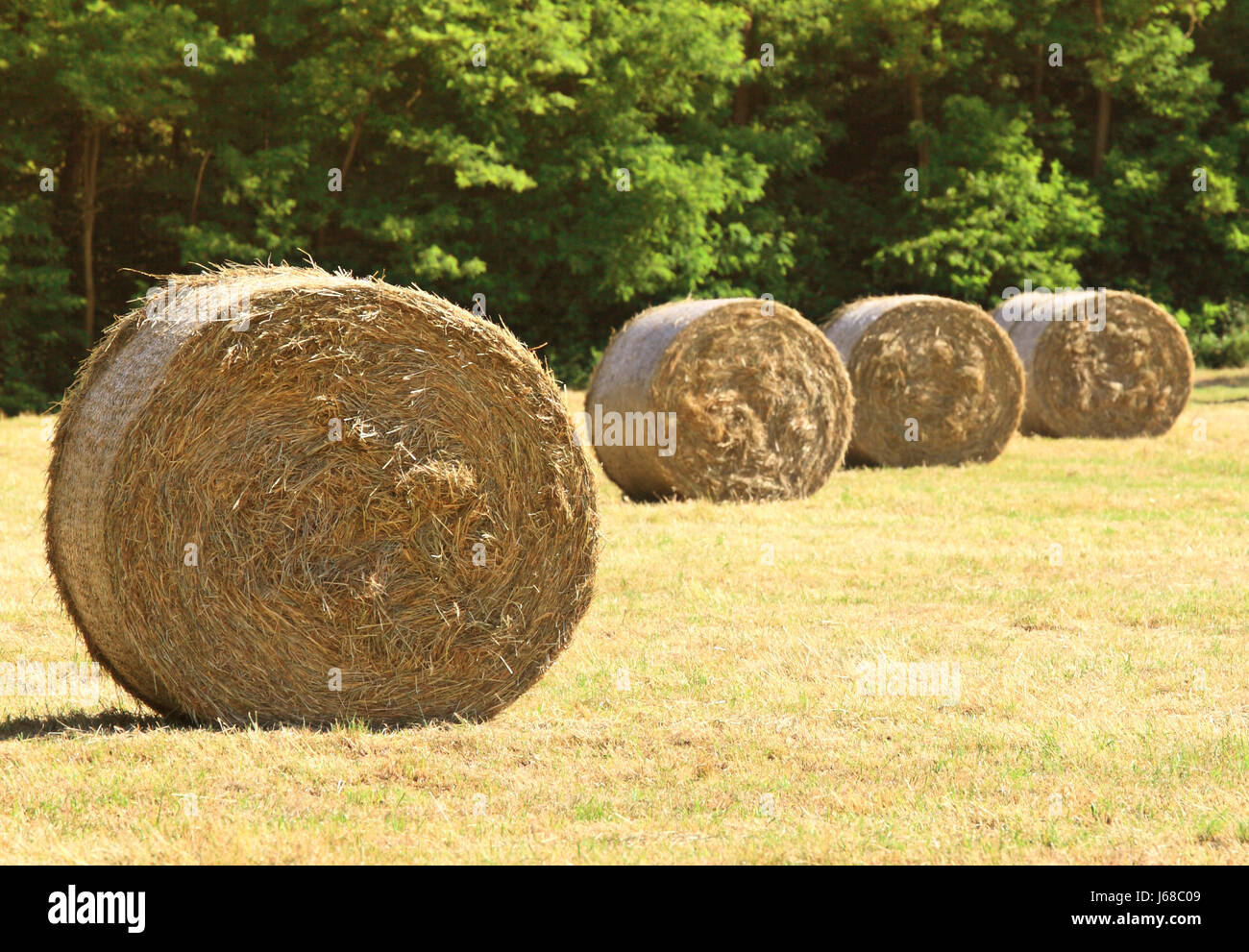 field harvest farm hay landscape scenery countryside nature agriculture ...