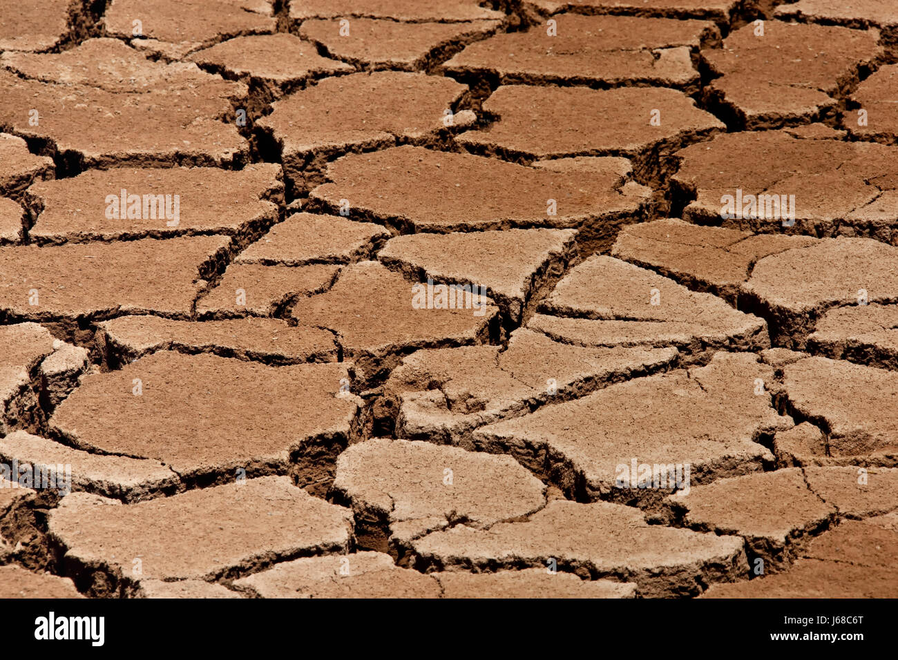 environment enviroment desert wasteland dry dried up barren globe ...