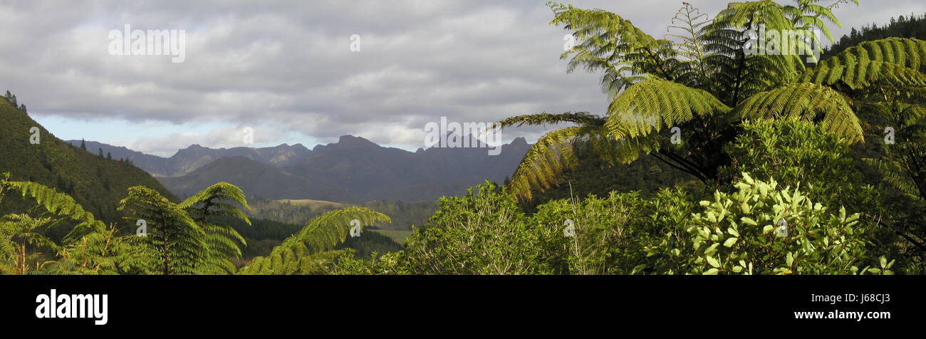 coromandel range in new zealand (2 Stock Photo - Alamy
