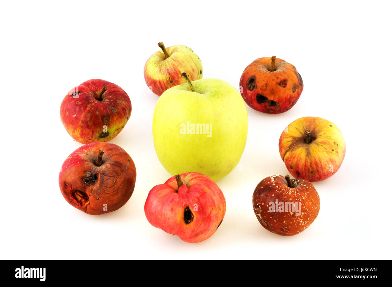 One and many not historic Cut Out Stock Images & Pictures - Alamy