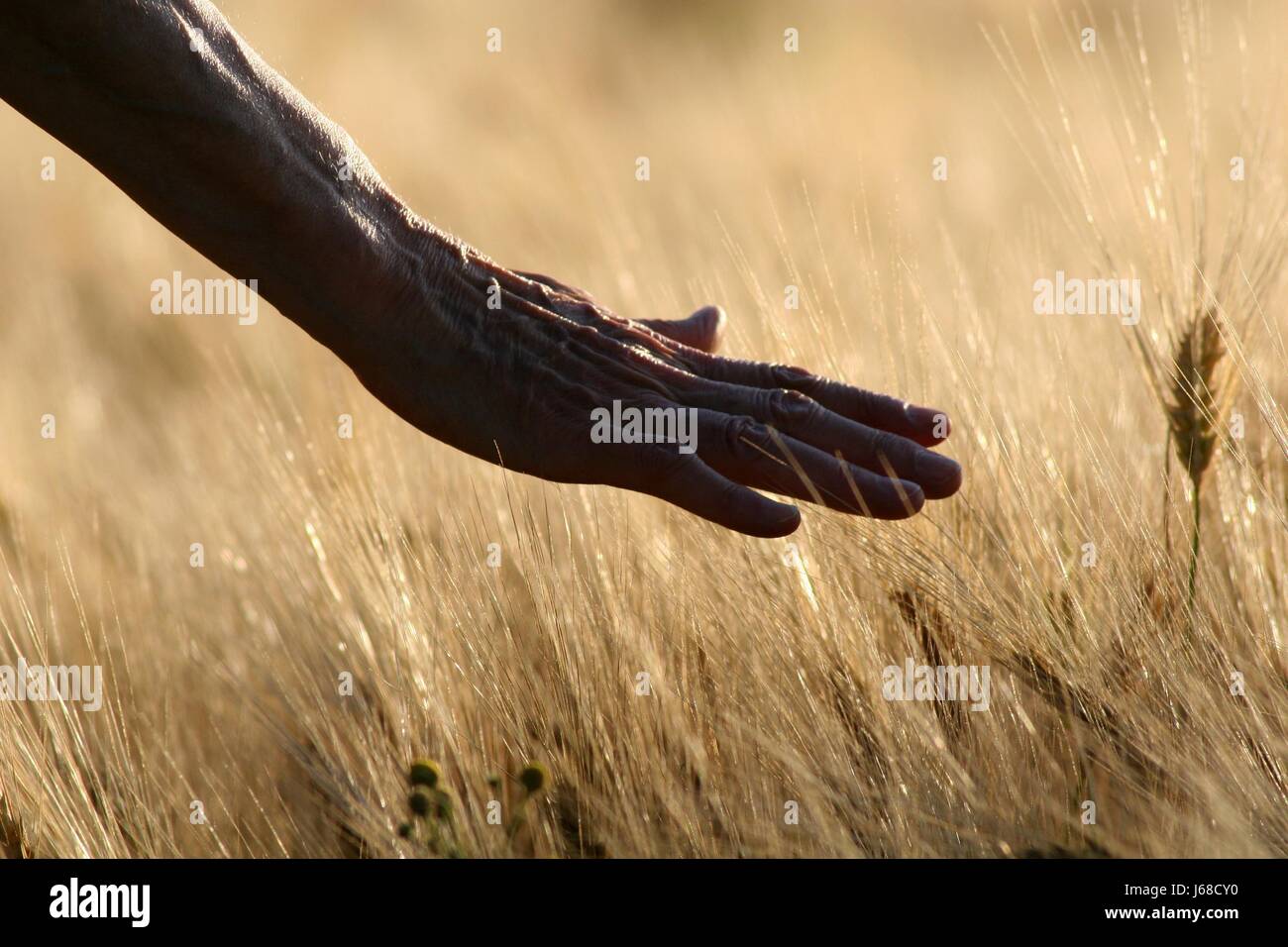 feel the summer Stock Photo - Alamy