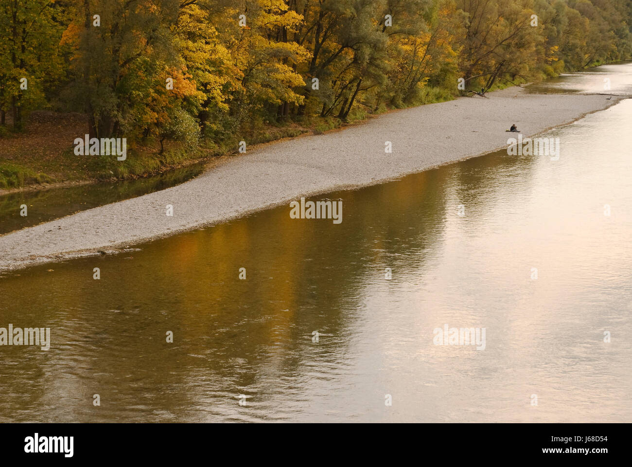 woods munich solitude river water fall autumn woman humans human beings ...