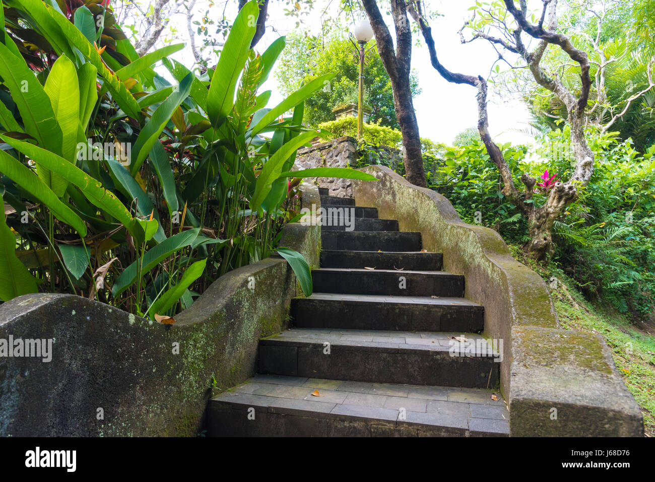 Old stone curved stairs with green exotic vegetation and moss Stock ...