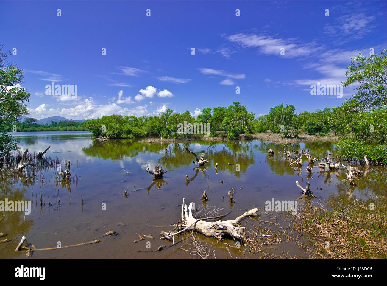 salt water sea ocean water isle island tree trees asia swamp cloud ...