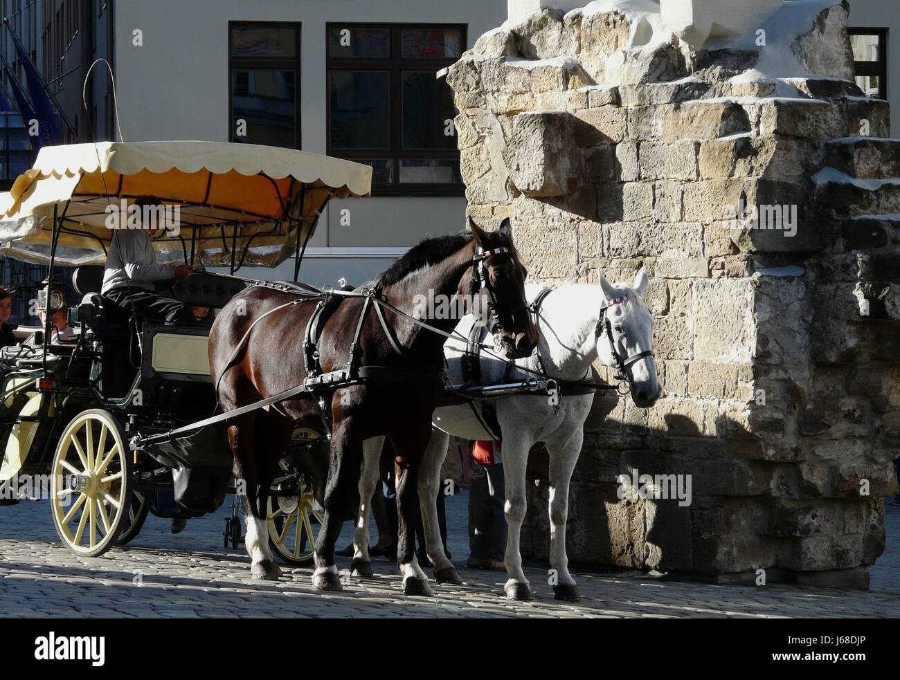 fiaker takes a break Stock Photo - Alamy
