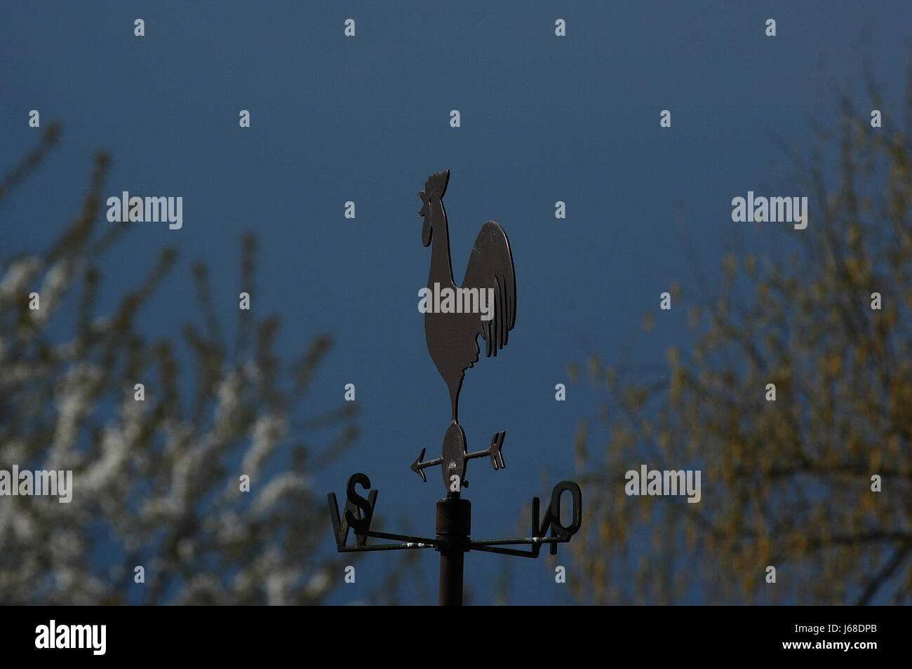 wind direction weather tree trees weathercock wind direction firmament sky wind Stock Photo - Alamy