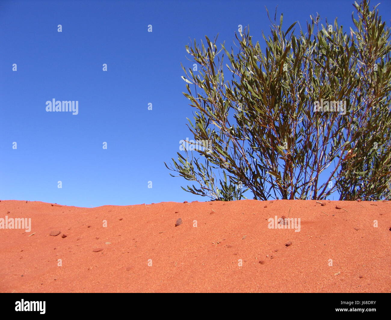 desert wasteland emptiness void australia steppe bush outback sands ...