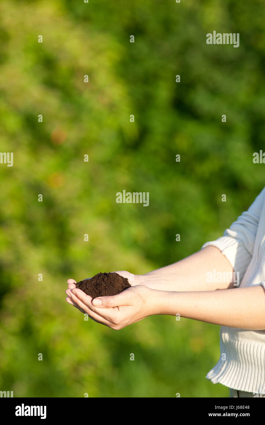 hand hands possession holding nature care hand hands environment ...