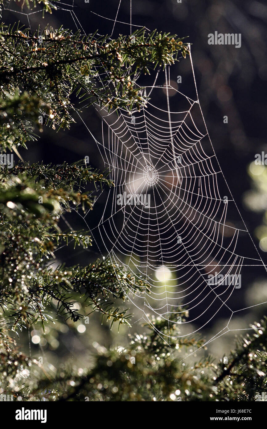 Nearly perfect hi-res stock photography and images - Alamy