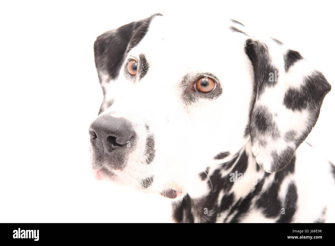 Pikasso hi-res stock photography and images - Alamy