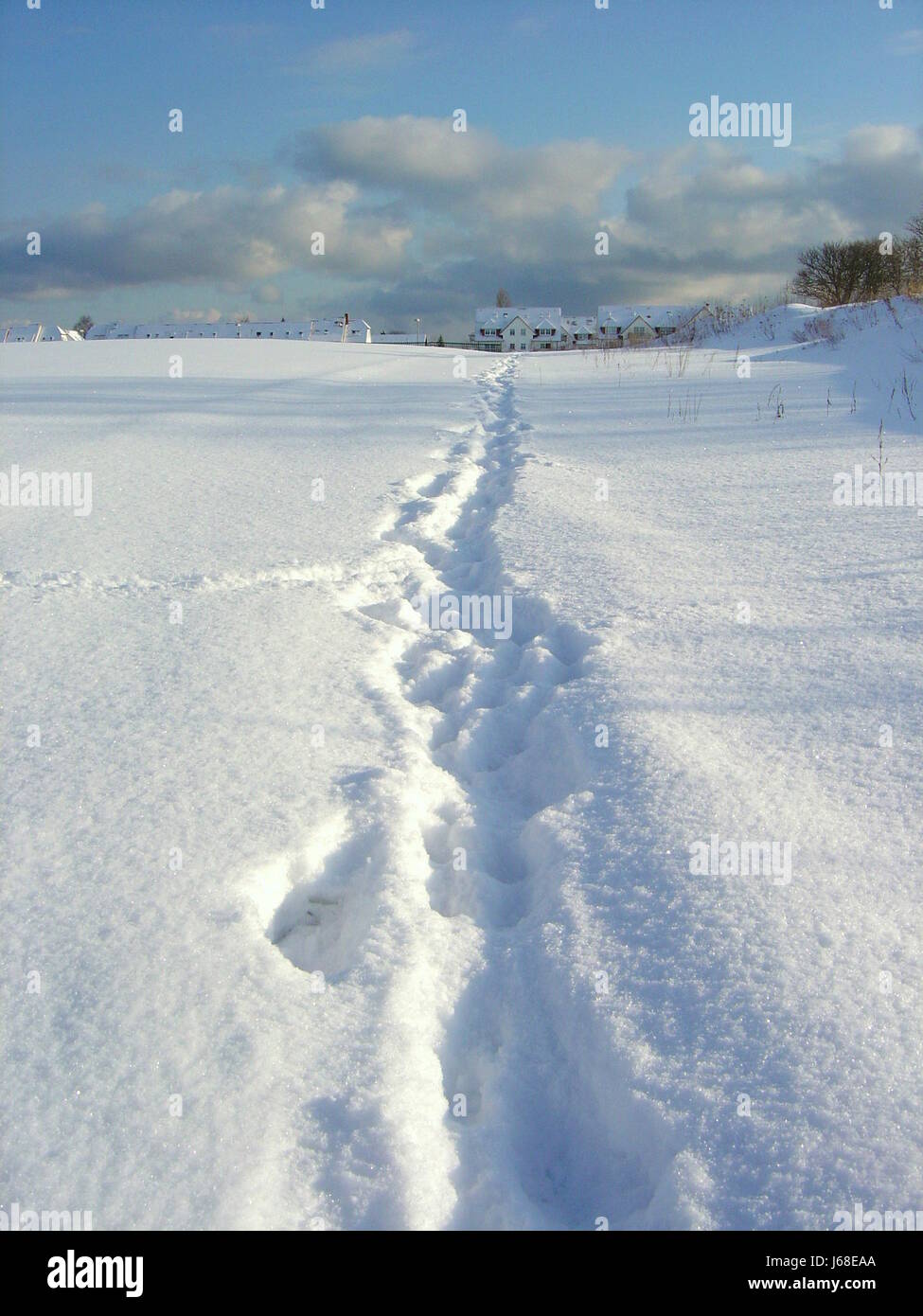 tracks in the snow Stock Photo - Alamy