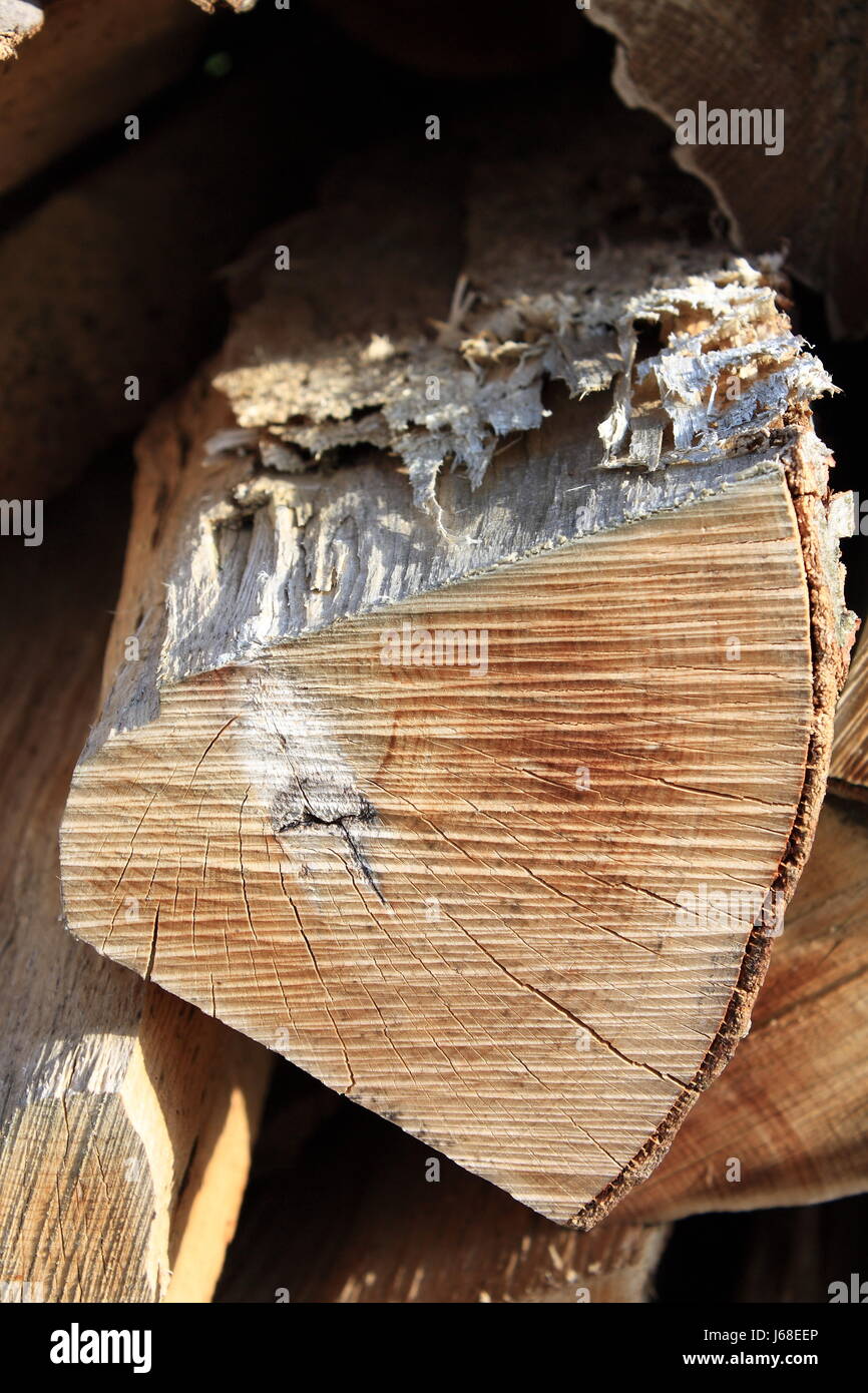 Stapelholz hi-res stock photography and images - Alamy