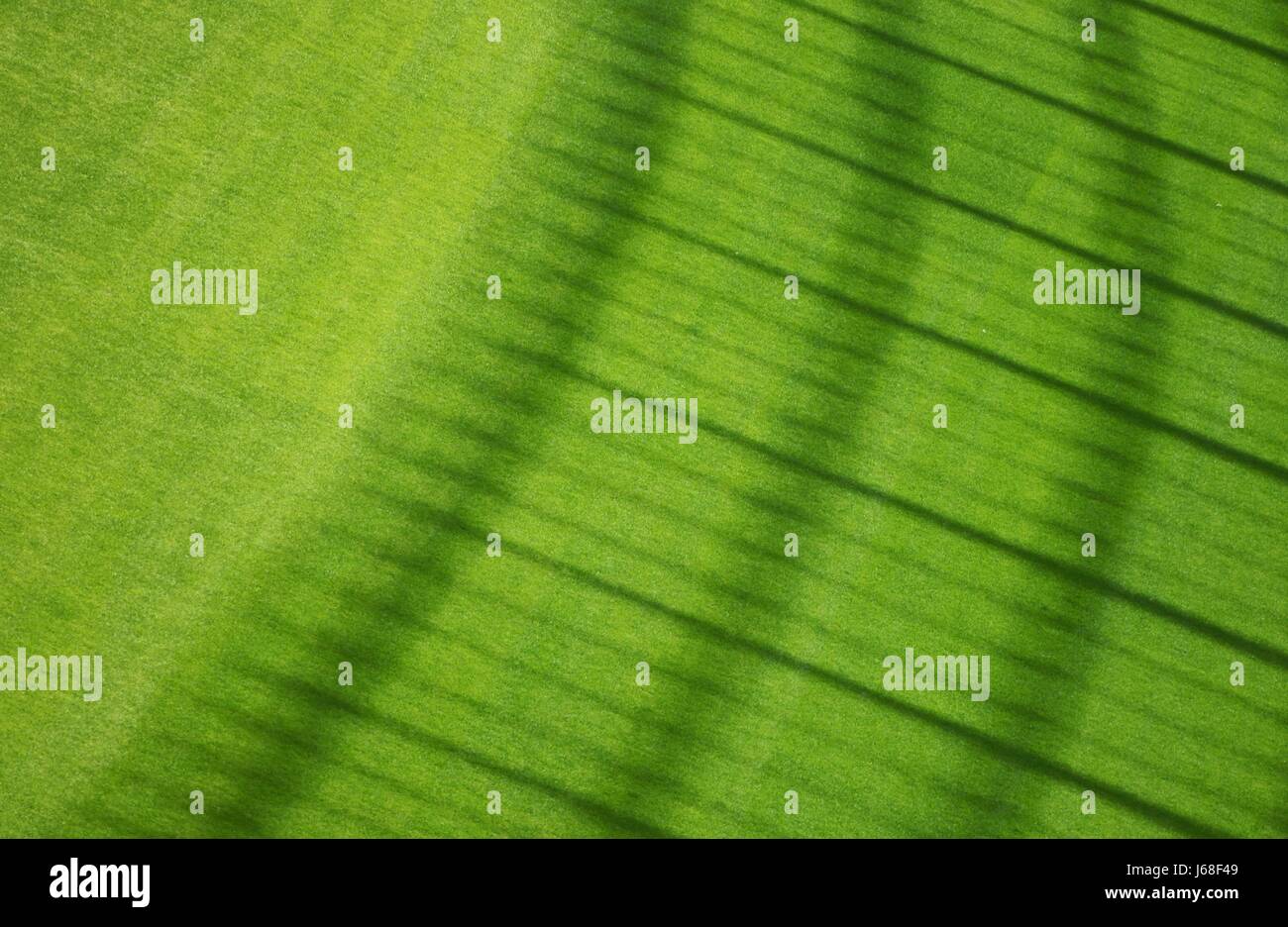 green stadium field design shaping formation shape model figure meadow ...