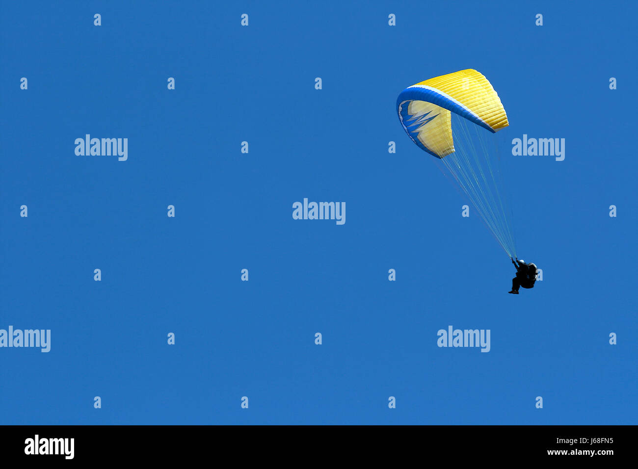 flight aviation glide volplane firmament sky fly flies flys flying ...