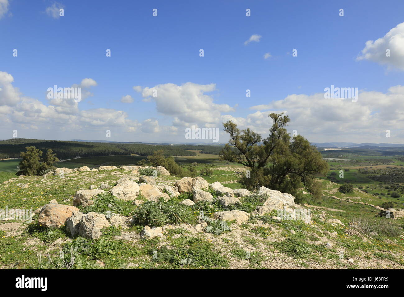 Israel, Shephelah, ruins of the Crusader fortress Blanche Garde in Tel ...